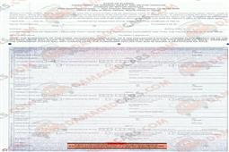Florida Car Title - How to transfer a vehicle, rebuilt or lost titles.