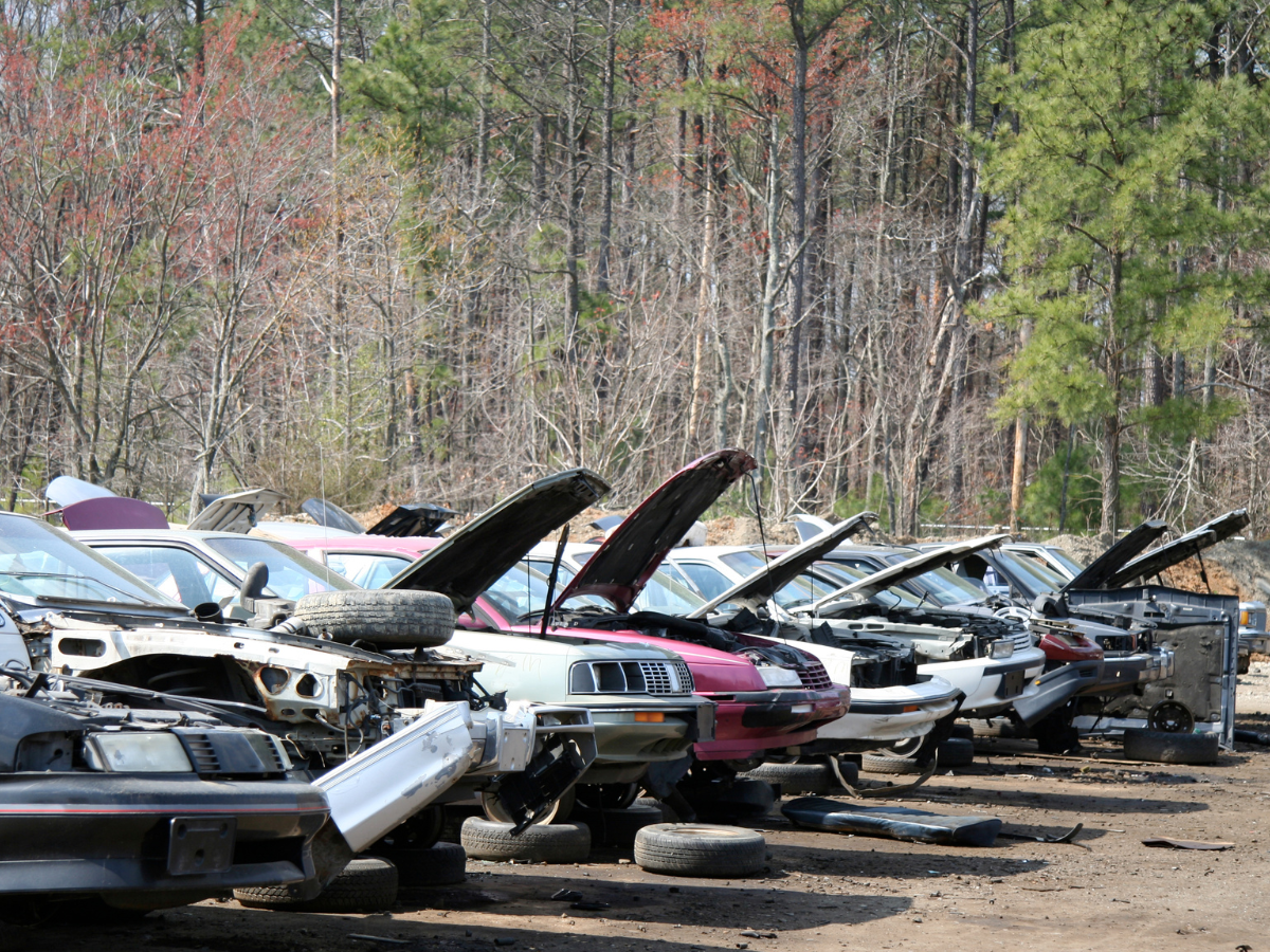 Auto Salvage Yards Near Me - We Pay Cash for Cars
