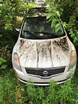 We Buy Nissan Altimas In Any Condition In Washington, DC — Damaged Cars